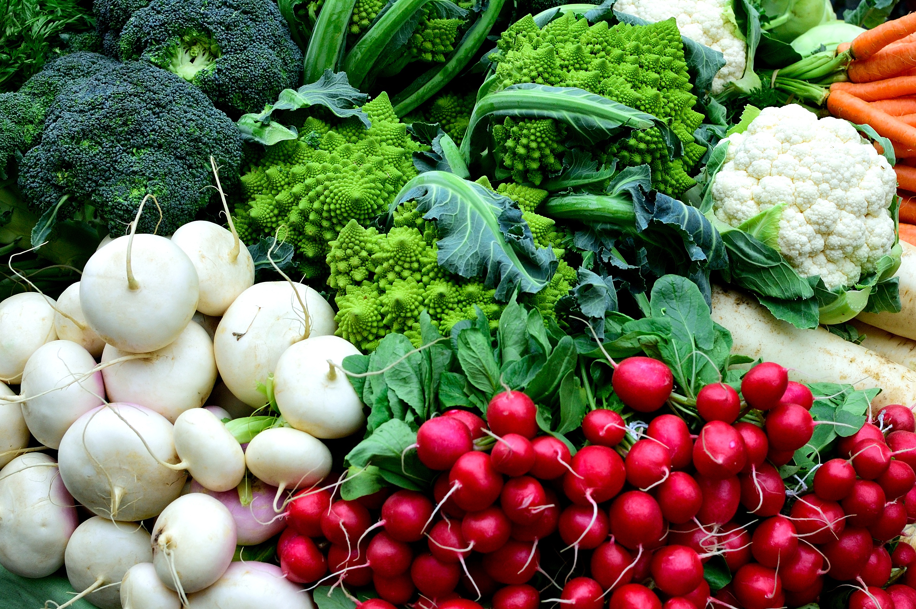 Fresh Finds is Back: Let's Grow!